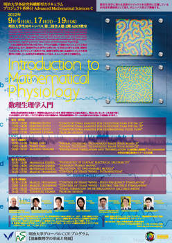 プロジェクト系科目：明治大学先端数理科学インスティテュート